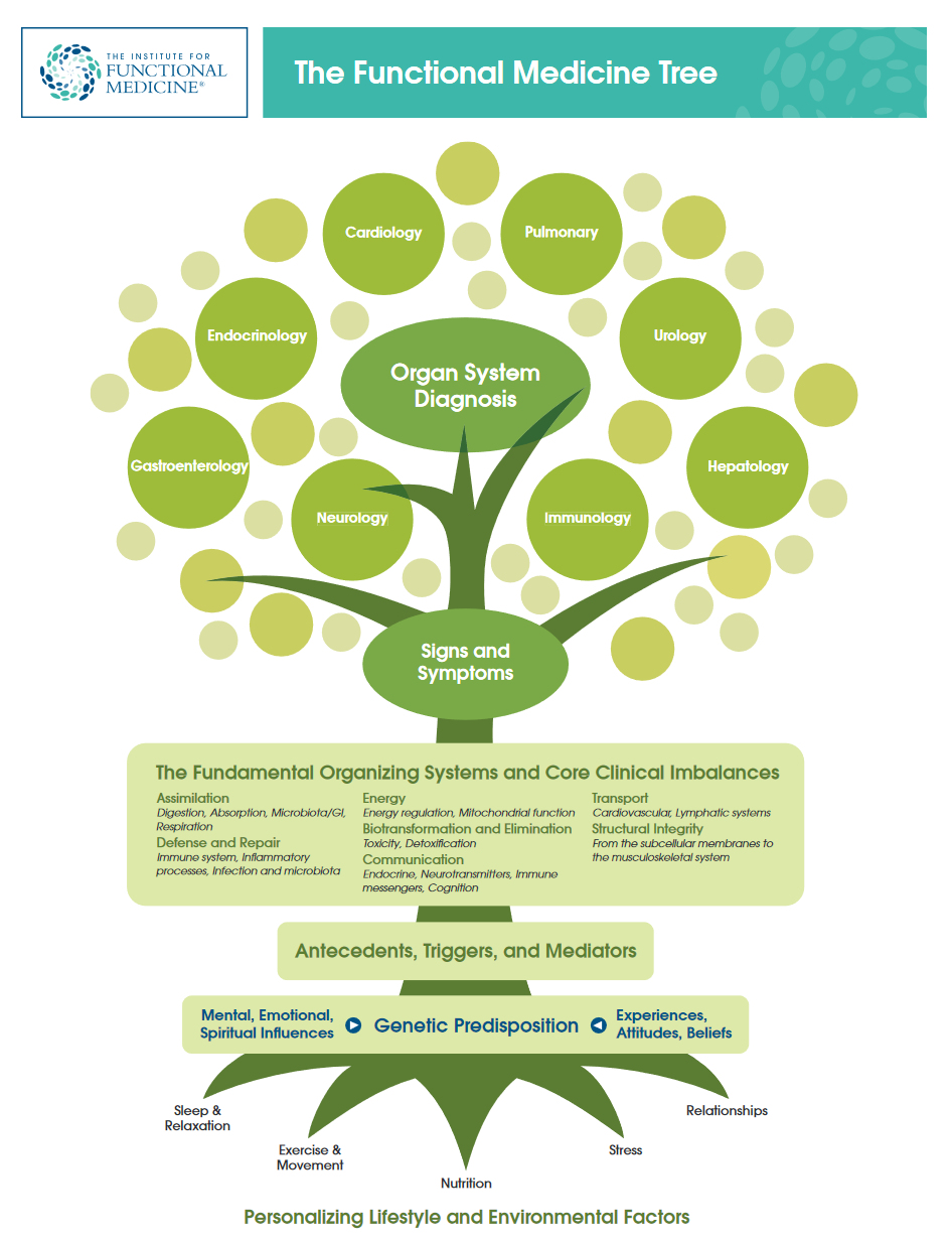 Ronald P. Ciccone, MD PC - Integrative / Functional Medicine